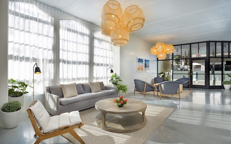 Ohia Waikiki – Springboard Hospitality